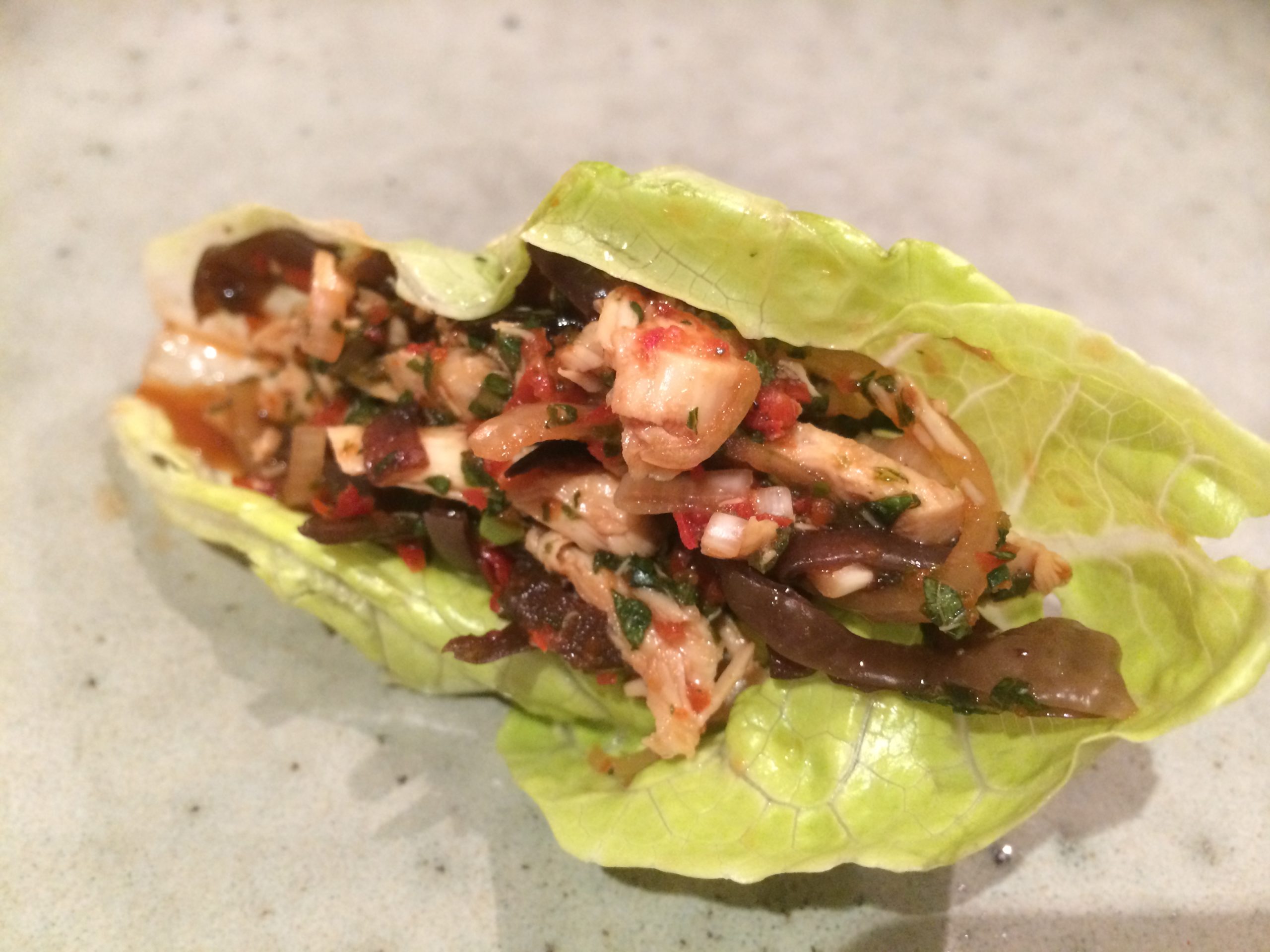 Guan Chua wonderful Malaysian Nyonya Supperclub | the food connoisseur