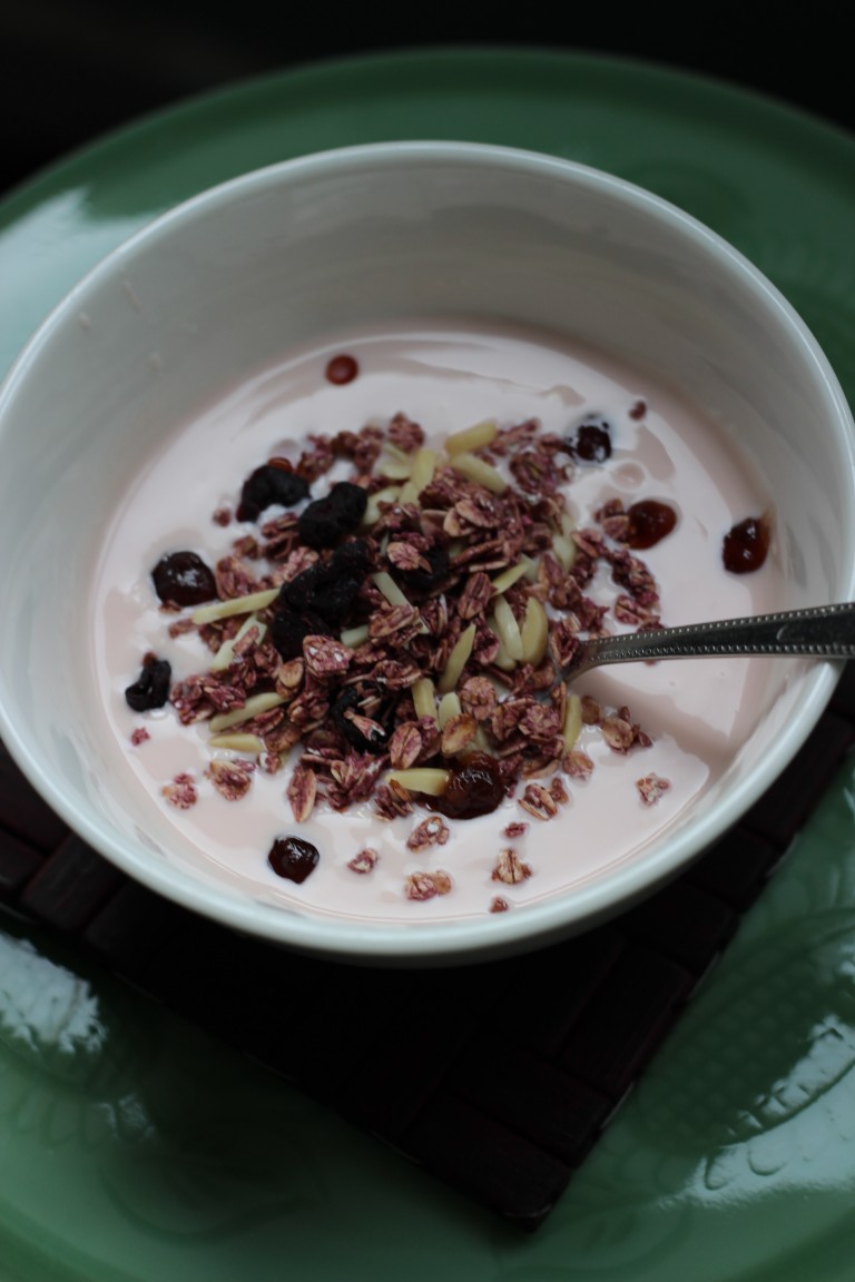 Hansell Yoghurt Maker review – Happiness is homemade | the food connoisseur