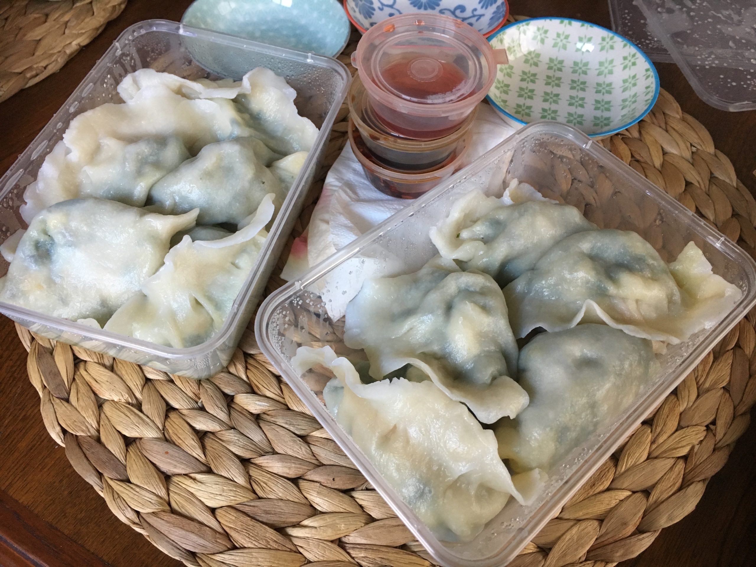 Day 6 - Wildlife Melbourne Zoo | Chinatown | ShanDong Mama Dumplings ...