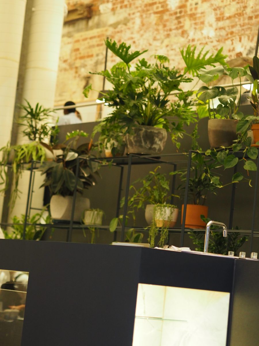 Hotcakes picture worthy - Higher Ground review | the food connoisseur