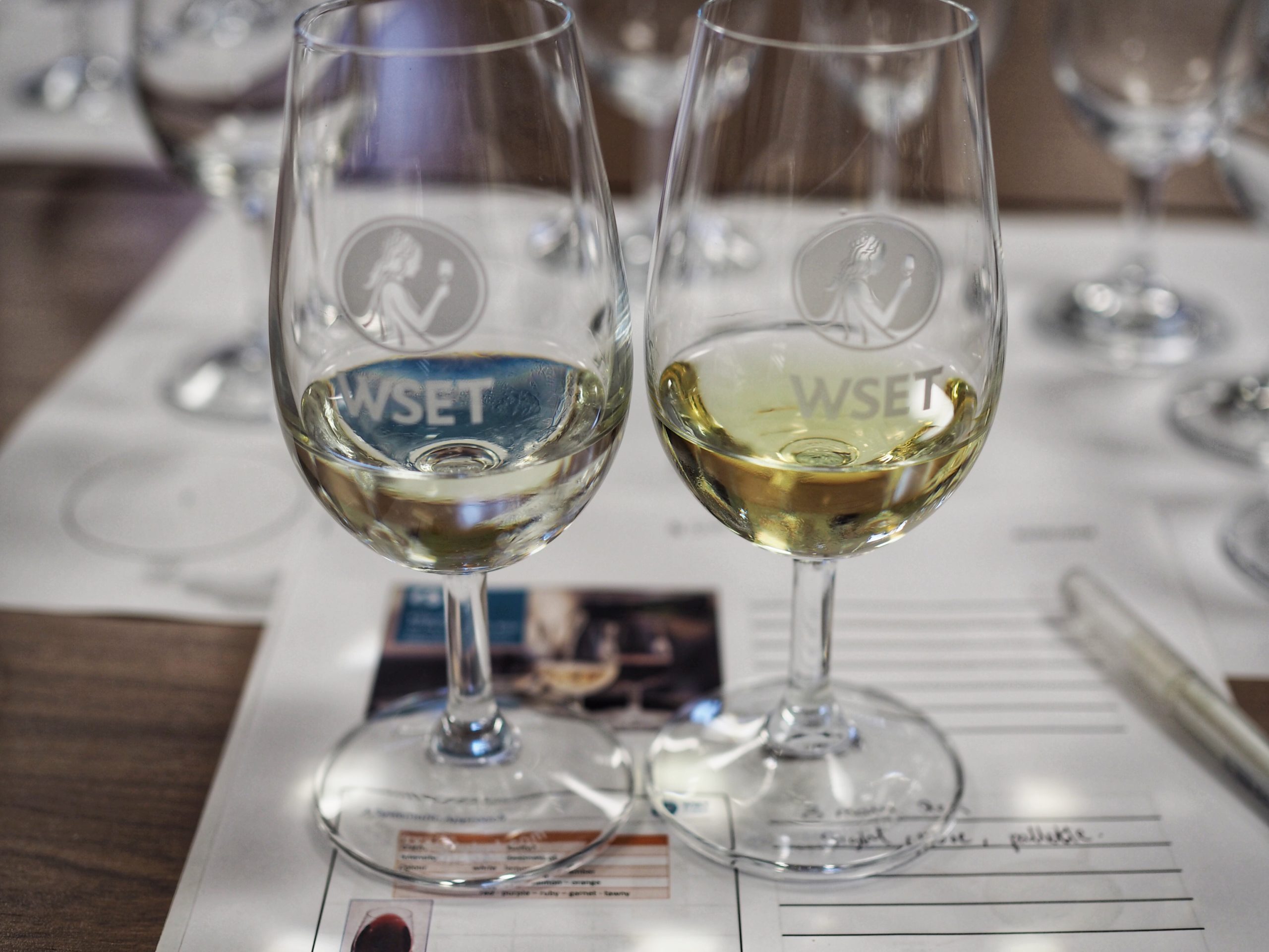 WSET school - Vine to Glass introduction course | the food connoisseur