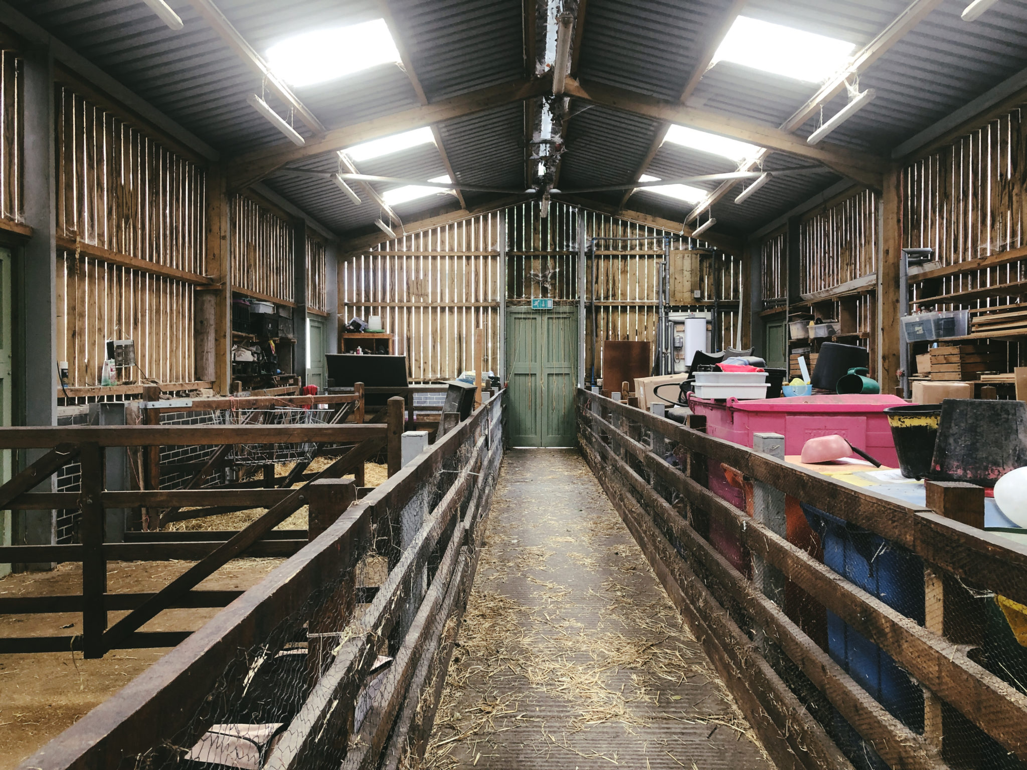 Top 5 free spots to do in London | the food connoisseur