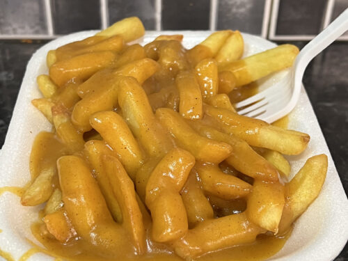 Shiba Inus With Love: London’s First Shiba Inu Dog Café | the food ...